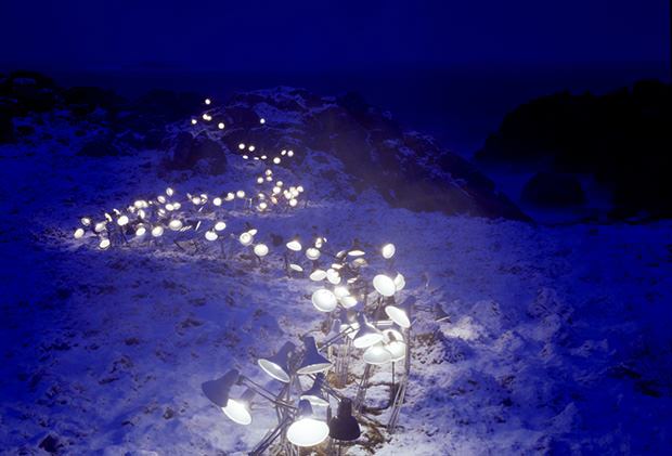 Man-Made Objects Spotted in Nature